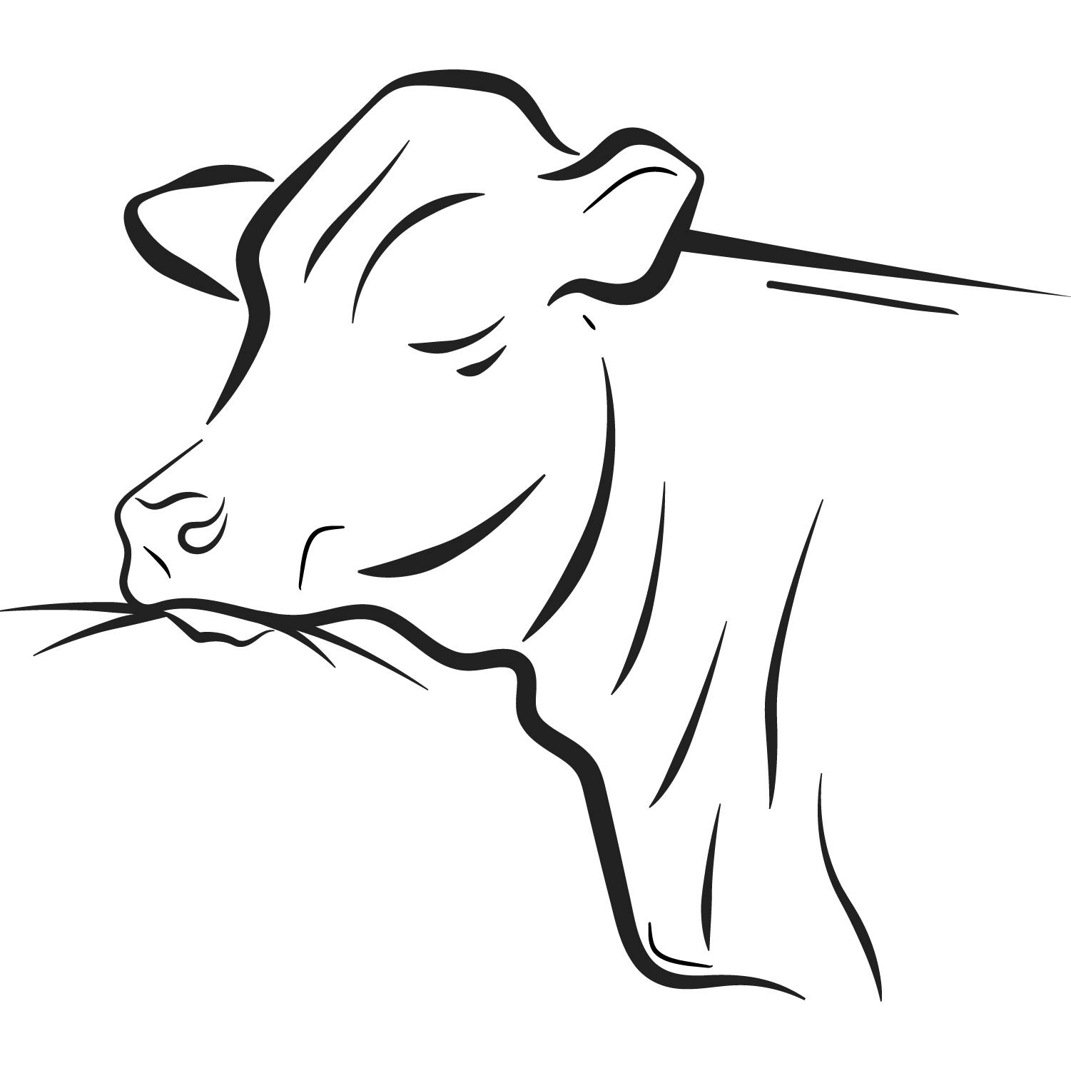 3.5kg Beef Whole Scotch Fillet | Green Meadows Beef